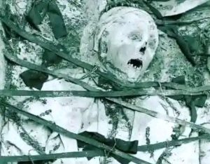 How Anna Maria Von Stockhausen returned six times from the dead - DDM